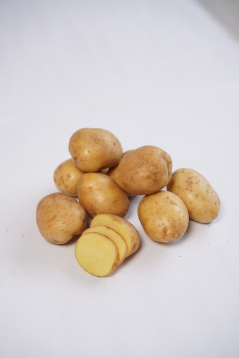 KENTANG KUNING / KENTANG DIENG TANGGUNG KEMASAN 1KG | Lazada Indonesia