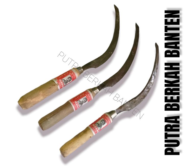 Arit padi geragaji arit padi sawah kecil arit padi sawah asli super ...