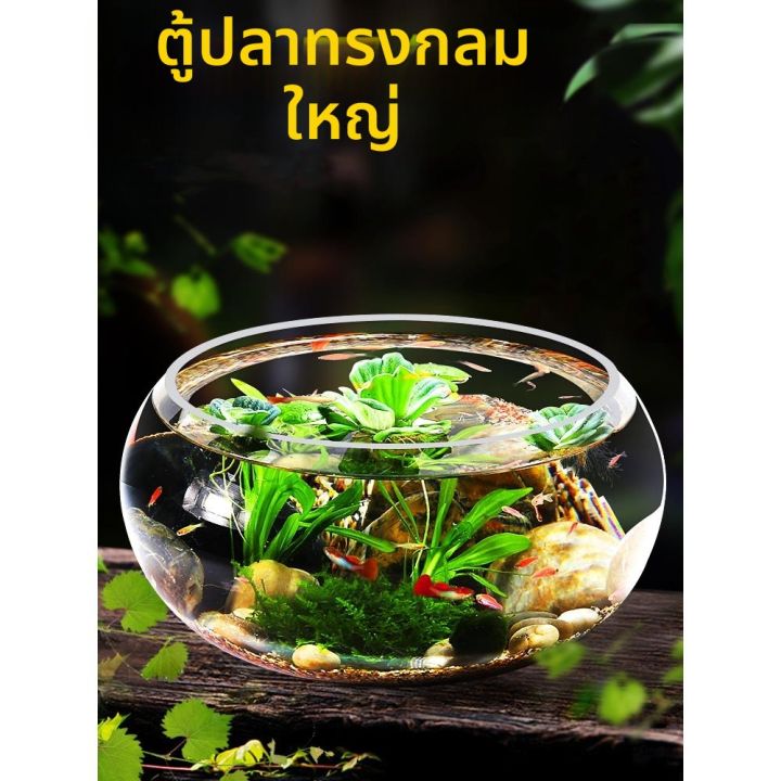 Besee | ตู้ปลาใสทนทาน | Lazada.co.th