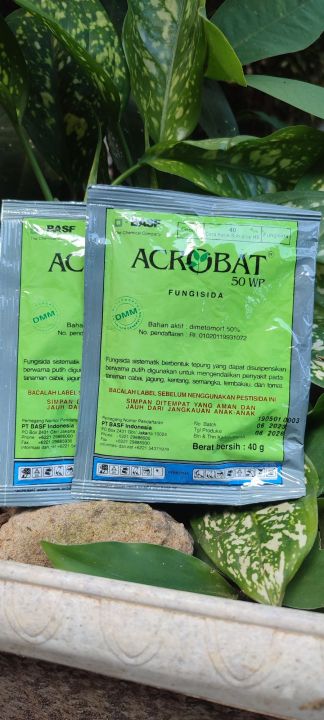 FUNGISIDA ACROBAT 50 WP 40 GRAM | Lazada Indonesia