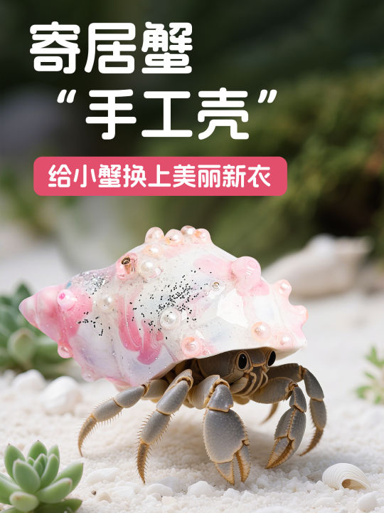 Natural Creative DIY Crab Shells for Hermit Crabs Decoration | Lazada ...