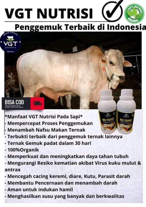 VGT nutrisi Vitamin Sapi Vitamin Kambing Penggemuk Sapi Penggemuk ...
