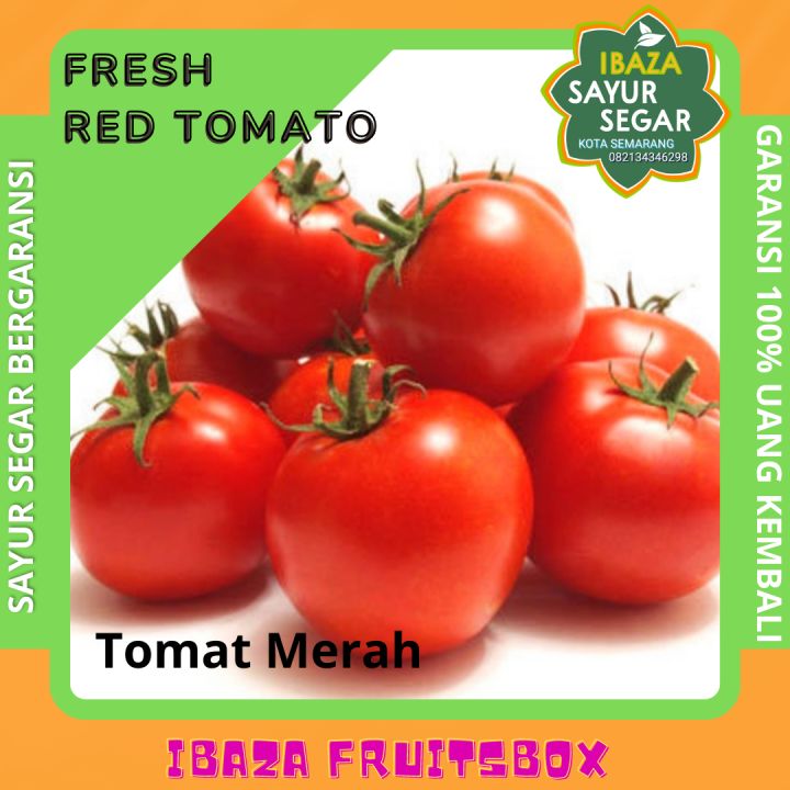 Tomat Merah Sayur Segar IBAZA fruitsBOX | Lazada Indonesia