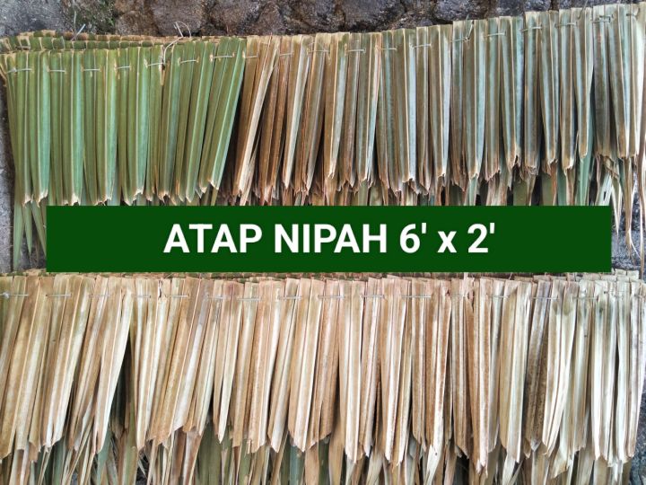 Atap nipah bersaiz besar. ukuran 6' x 2' (6 ft x 2ft = 180cm x 60cm ...