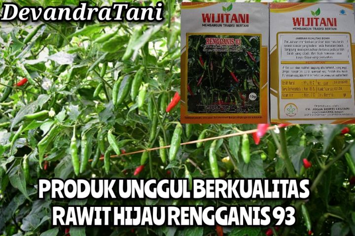 Benih cabe rawit hijau Rengganis 10 gr,rawit hijau unggul super pedas ...