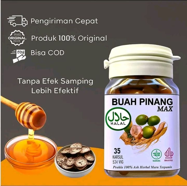 Kapsul Buah pinang max original asli herbal isi 35 kapsul | Lazada ...