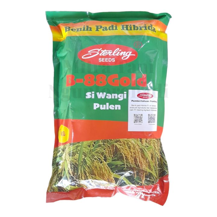 Benih Padi Hibrida B-88 Gold Cap Sterling Seeds 1Kg | Lazada Indonesia