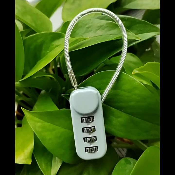 Spring Loop Combination Padlock 60/120CM 4-Digit Combination Lock Wire ...