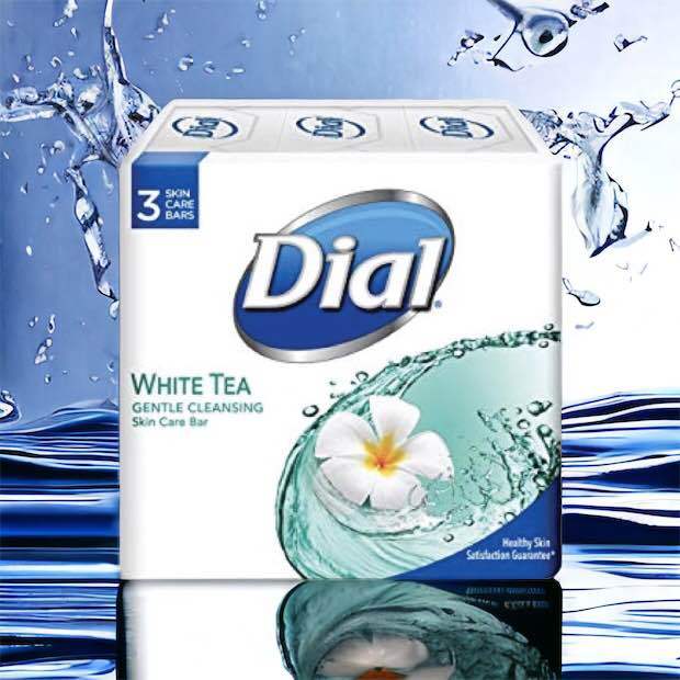 (พร้อมส่ง!!)(3 bars/3ก้อน) สบู่ก้อนไดอัล Dial Soap White Tea สบู่เป็น ...