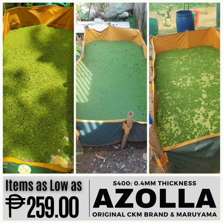 8x8x3ft S400 WITH ROPE Fish Pond Original S400 Heavy Duty Waterproof ...