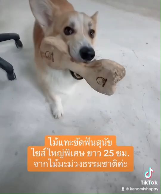 SUPER BONE ไม้แทะสุนัขไซส์ใหญ่พิเศษ ของเล่นสุนัข ของเล่นหมา ผูกเชือก ...