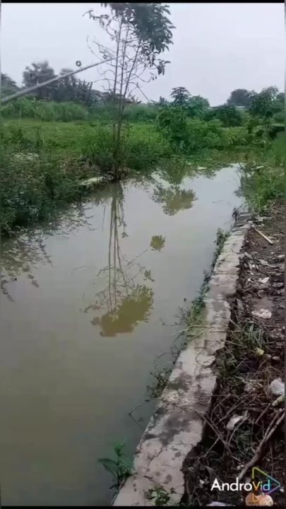 Slater single proppeler jaws frog slatter (new model) | Lazada Indonesia