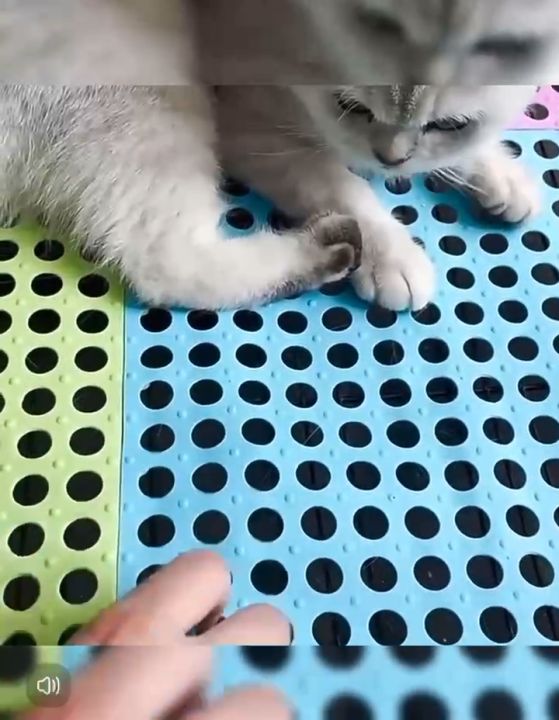 Plastic Matting for Dog 30*30cm Pet Cat Dog cage matting Dog bed Rabbit ...