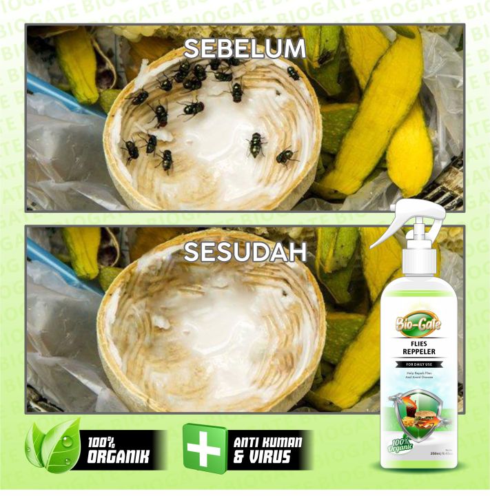 Bio Gate Spray Pengusir Lalat Organik Anti-Sparkle - Botol Kaca Hijau ...