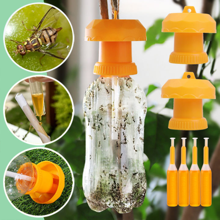 Fruit Fly Trap Killer Yellow Plastic Cap Orchard Insect Drosophila ...