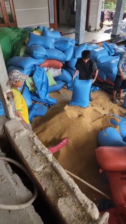 Vít tải cáp mềm 6m motor 3kw hút hạt cà phê, hút thóc lúa cho lò sấy ...