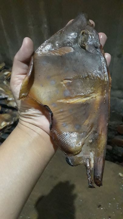 ikan pari asap khas pemalang ukuran besar isi 10 pottong | Lazada Indonesia
