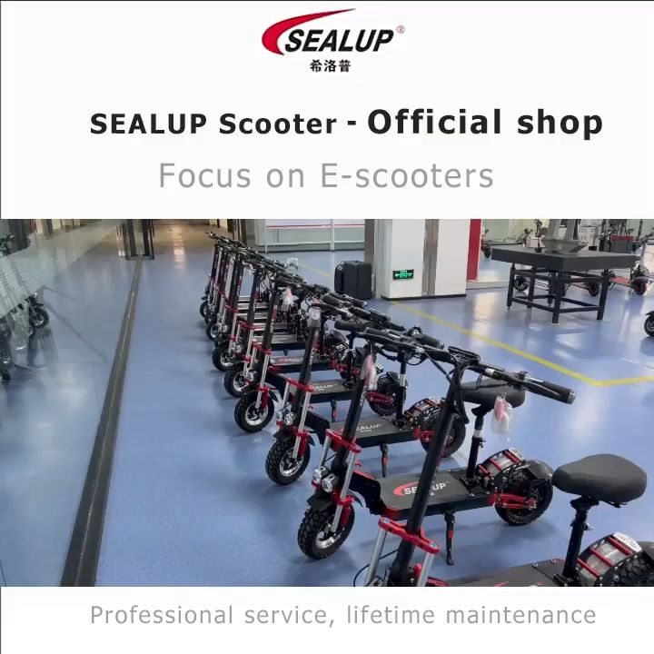 local warranty 1 year SEALUP Q22 High Performe 500W/1000W Top Speed ...