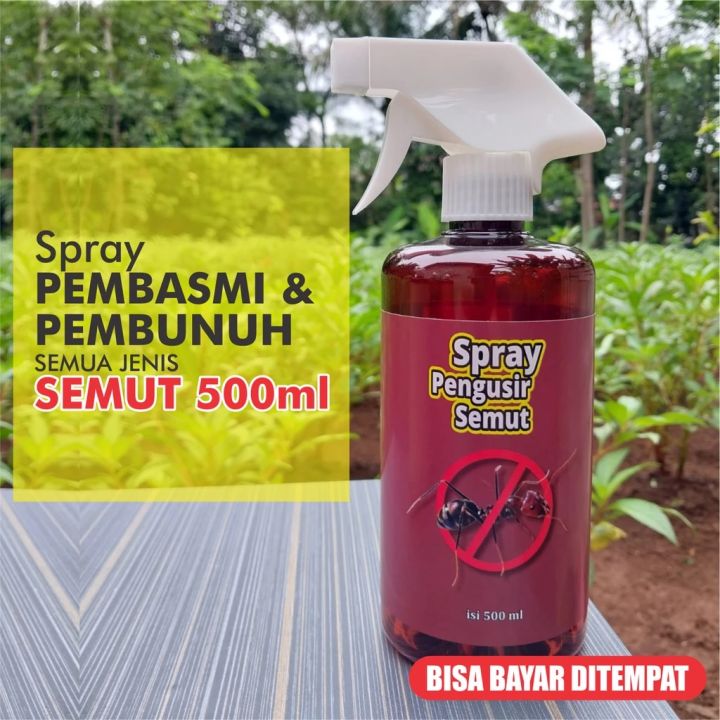 PEMBASMI HAMA SEMUT TANAMAN DAN SEMUT RUMAH 500ml | Lazada Indonesia