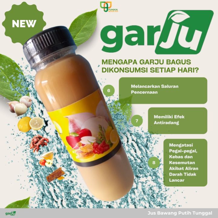 Garjus (garlic jus) dengan sejuta manfaat untuk kesehatan tubuh ...
