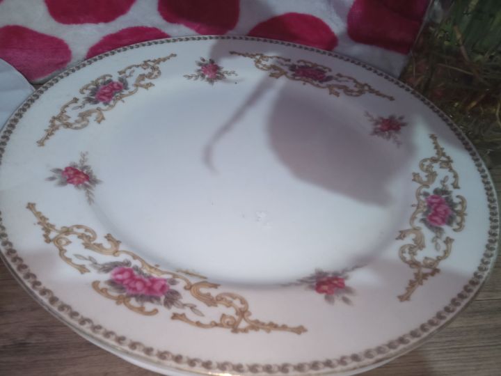 Dinner plates Japan surplus high quality | Lazada PH