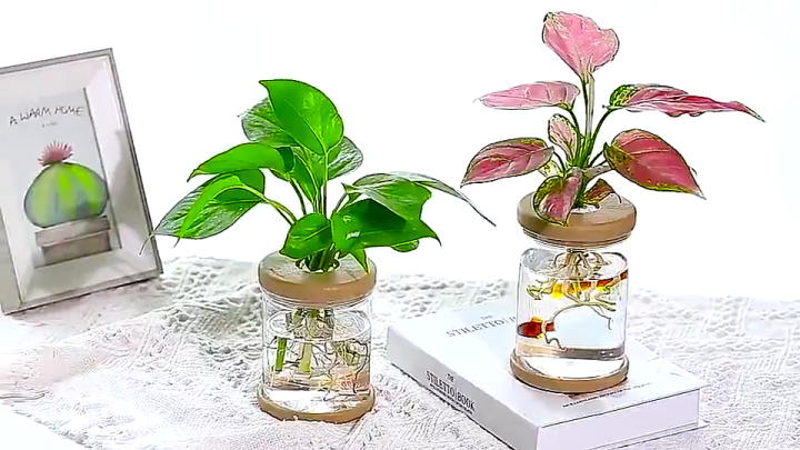 Nordic Minimalist Hydroponic Vase Automatic Water Absorption Plant Pot ...