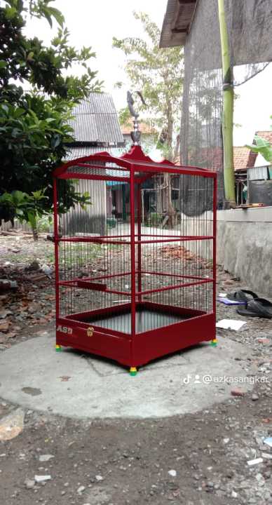Sangkar Diamond ambrukan mentahan, sudah ada alas triplek tanam MDF ...