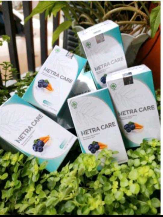NETRA CARE ISI 60 KAPSUL KESEHATAN MATA | Lazada Indonesia
