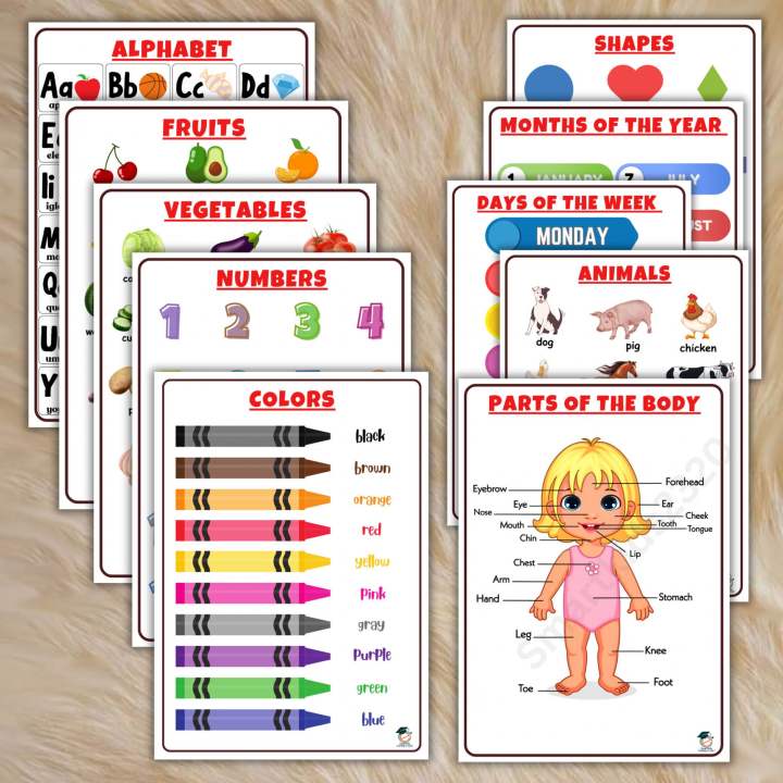 LAMINATED WALL CHART A4 SIZE BUNDLE SET 10+1 free chart | Lazada PH