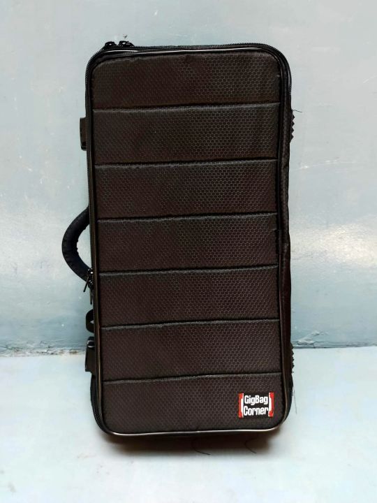 BOSS GT8, Boss GT10, Boss GT-100 & Line 6 POD HD500X (Backpack type, DM ...