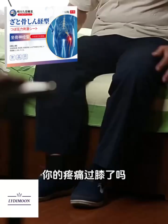 坐骨神经痛 Japan sciatica pain relief patch 12 stickers/box lumbar & back ...