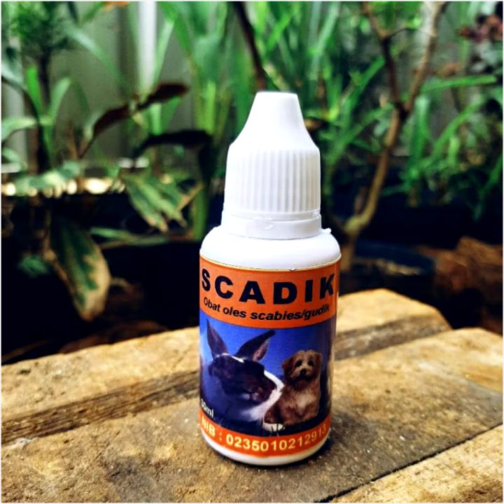 obat scabies kelinci oles Scadix Drop 30 Ml | Lazada Indonesia