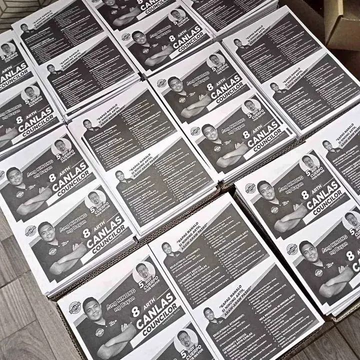 Campaign or Election flyers 1000copies 1/4 4"x5" Size Free Layout with ...