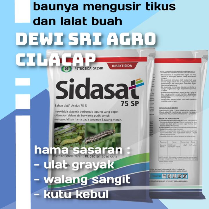 Insektisida Asefat Sidasat 75 SP kemasan 100 gram | Lazada Indonesia