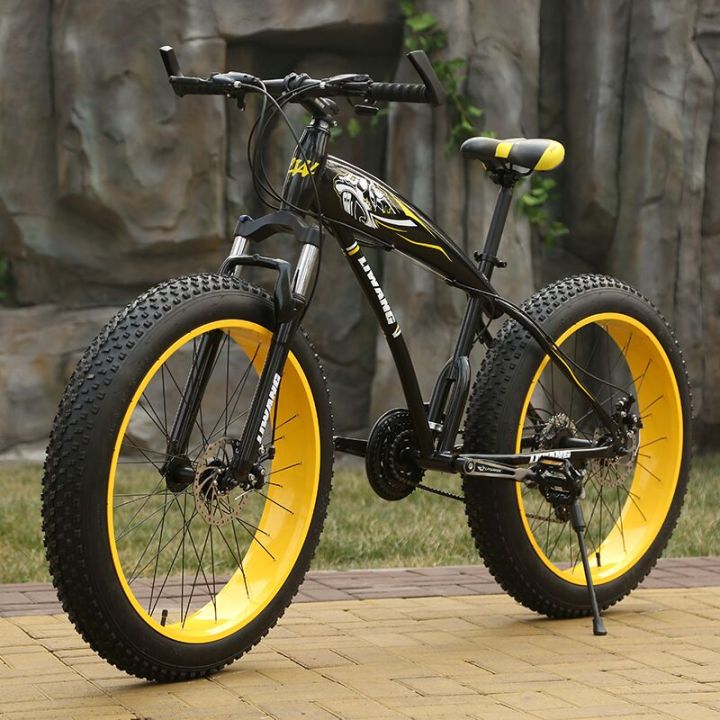 German Accessible Luxury Bicycle Ultra Wide Tire Speed Change ...