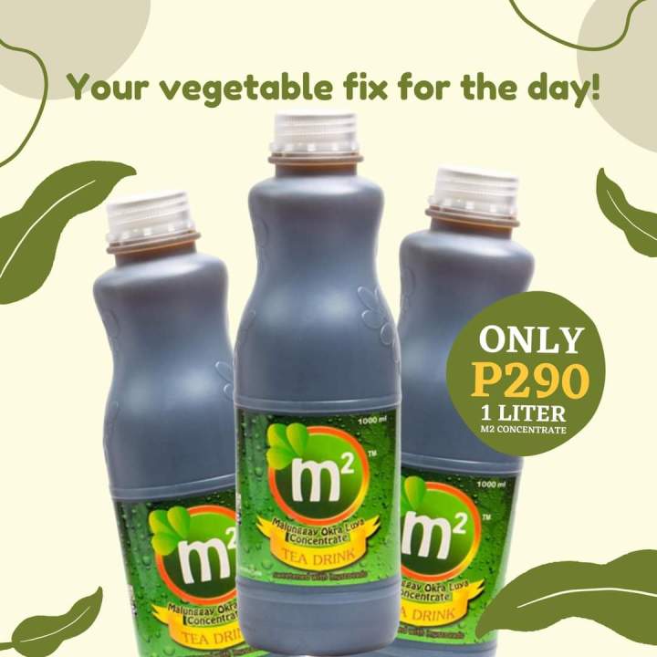 M2 Malunggay Tea Drink / Concentrated Drink | Lazada PH