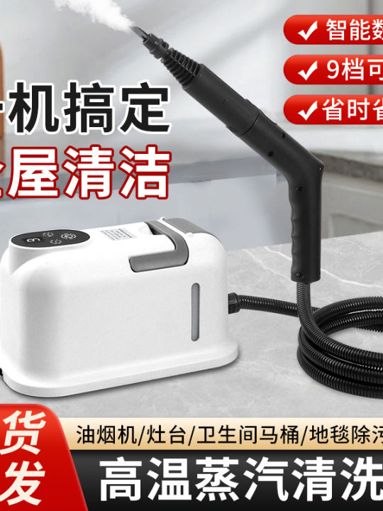 2025 New Handheld Steam Cleaner Machine Small Size Powerful Stain ...