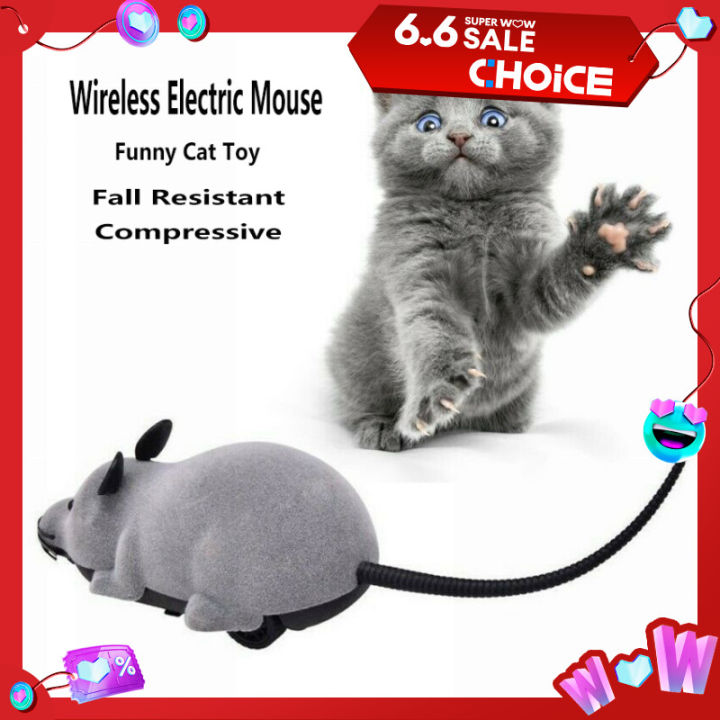 Simulation Wireless Mouse Electric Flocking Tricky Cat and Puppy ...
