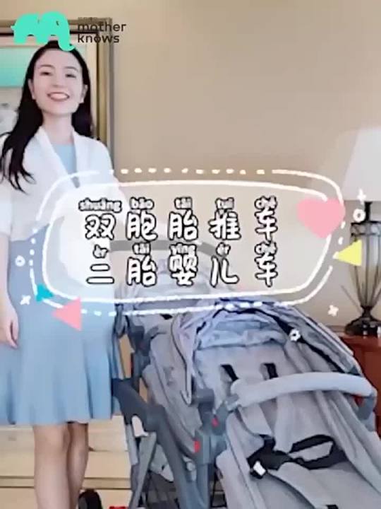 German Twin Baby Stroller Double Integrated Two-Child Stroller ...