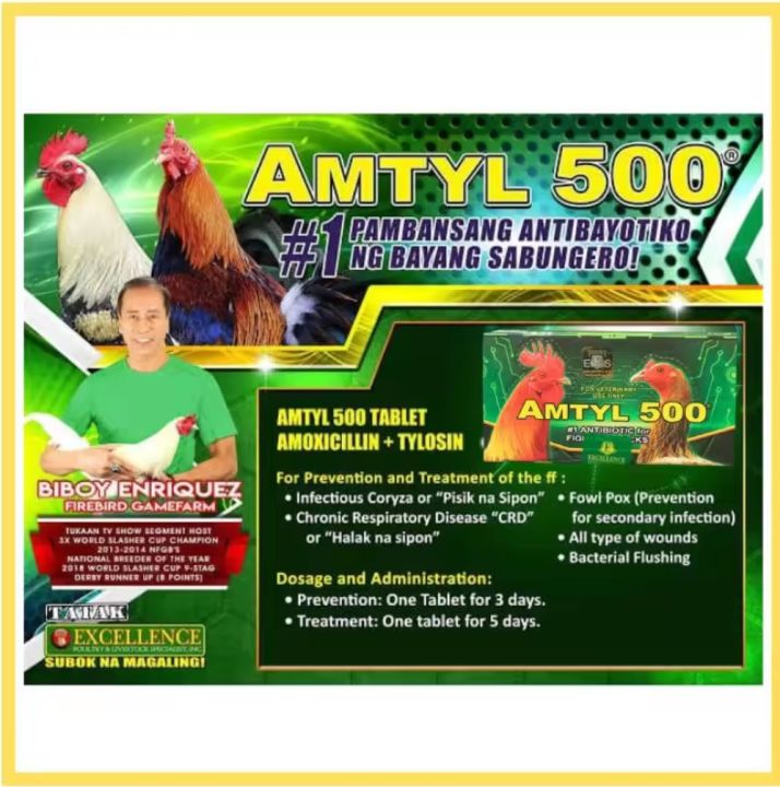 AMTYL 500 ANTIBACTERIAL TABLET FIGHTING COCK | Lazada PH