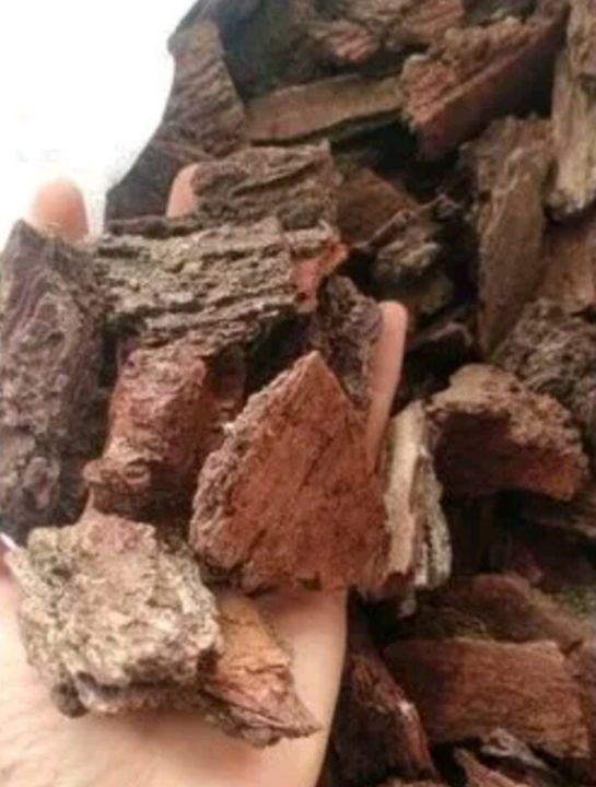 media tanam anggrek kualitas premium 1kg/ kulit pinus /pakis cacah ...