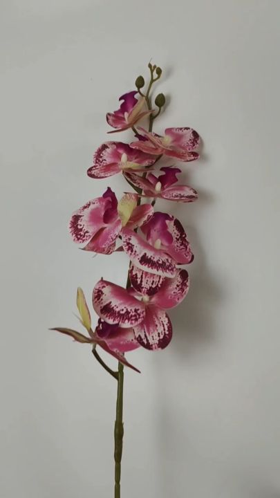 Bunga Anggrek Bulan Latex X9 - 1 PCS Bunga Plastik Import - Bunga ...