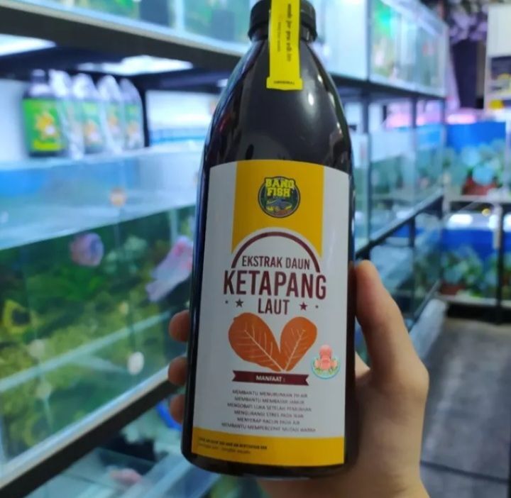ekstrak ketapang laut bang fish repack 80ml | Lazada Indonesia
