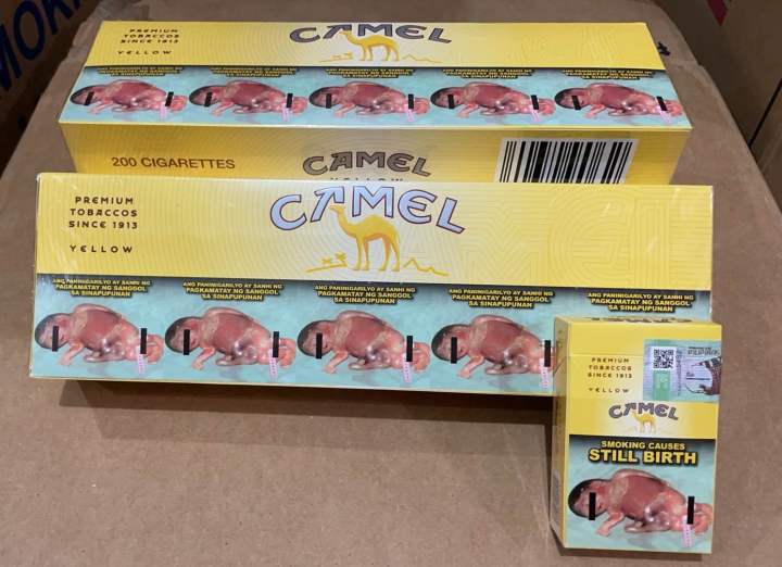 CAMEL HARDPACK (glass crisper airtight food, leakproof microwavable ...