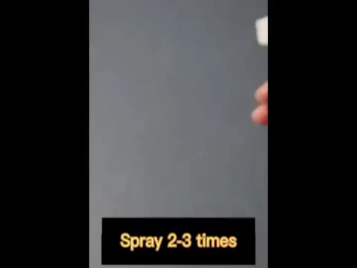 【Strong & Effective】bedbug surot killer spray Kills Bed Bugs & Eggs ...