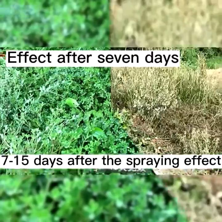 remove grass in 7 days Weed and herbicide for grass and weeds OK grass ...