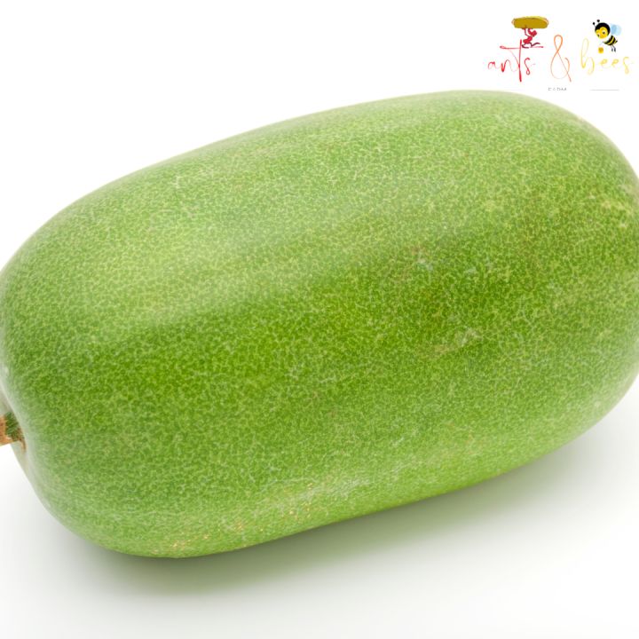 kundol ashgourd wintermelon binhi pantanim vegetable | Lazada PH