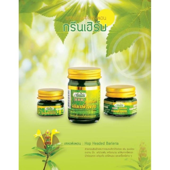 GREEN HERB CITRONELLA BALM GREEN HERB From THAILAND 泰国青草药膏 50g/20g | Lazada