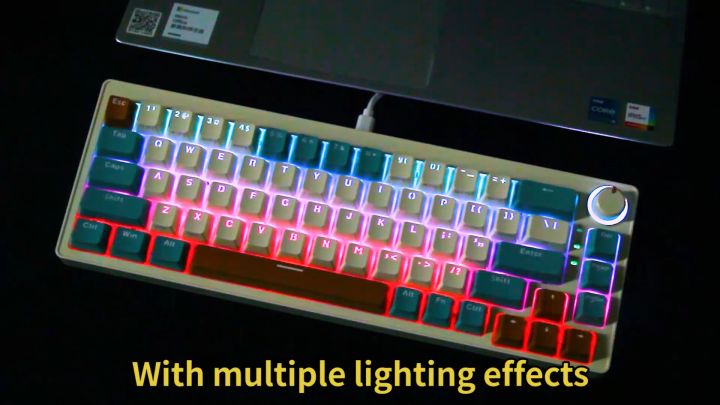 ZIFRIEND ZA68 keyboard mechanical Gaming mekanikal RGB Hot-Swappable ...