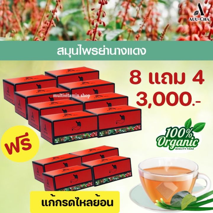 Auu-Cha อู่ชา ชาลดกรดไหลย้อน ชาแก้กรดไหลย้อน สมุนไพรลดกรดไหลย้อน ...
